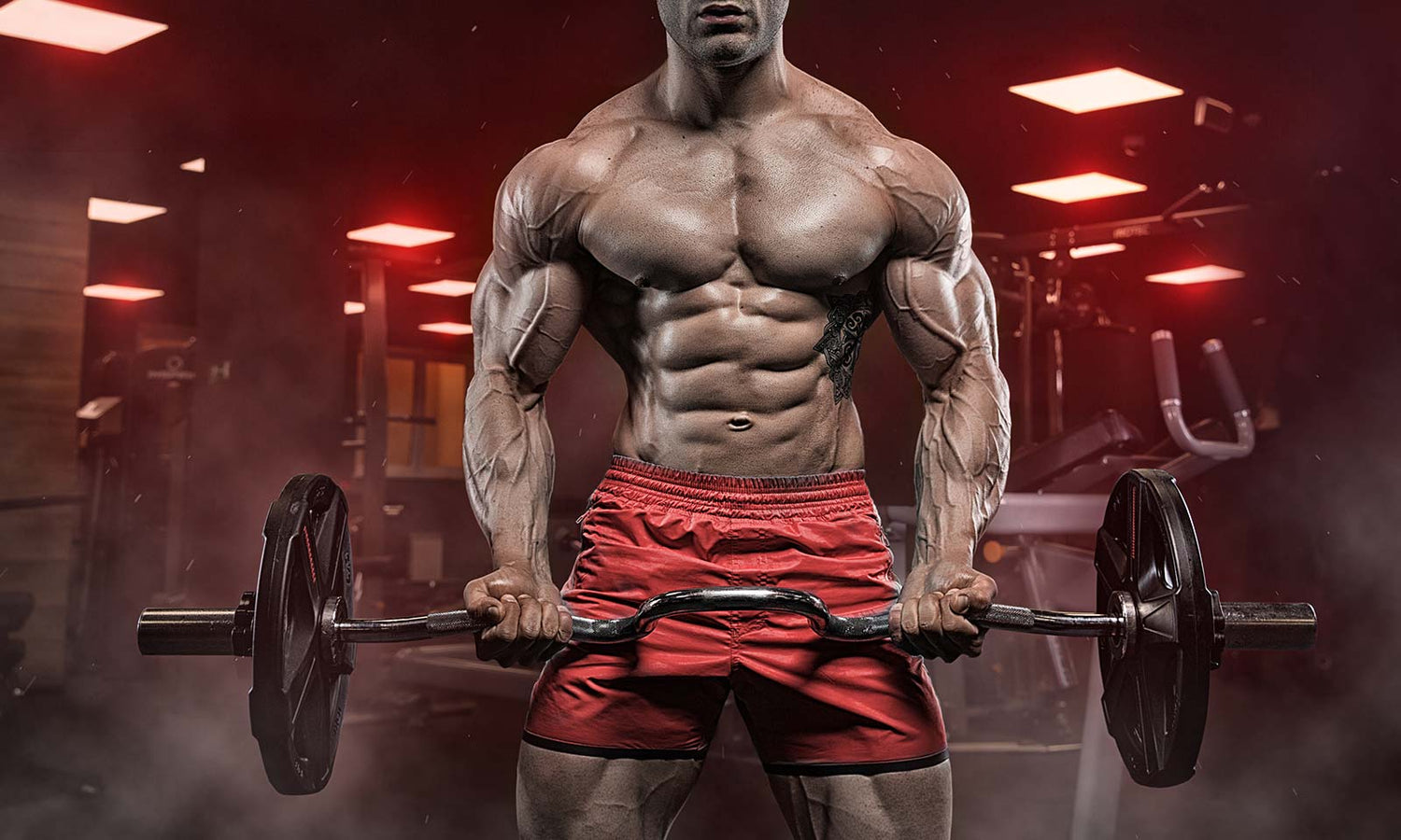 6 Interesting Facts about Bodybuilders – Canadian Protein