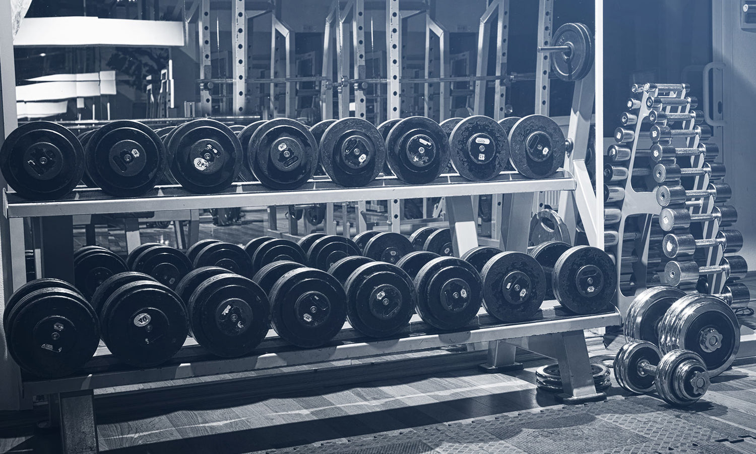 7 Reasons Why You Should Go To the Gym Today – Canadian Protein