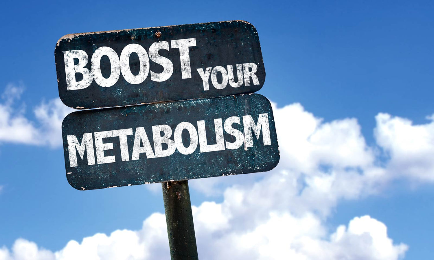 8 Effective Ways to Increase Your Metabolism – Canadian Protein