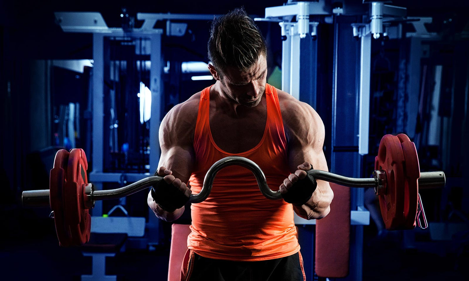 Best Creatine Stacks: What Works? – Canadian Protein