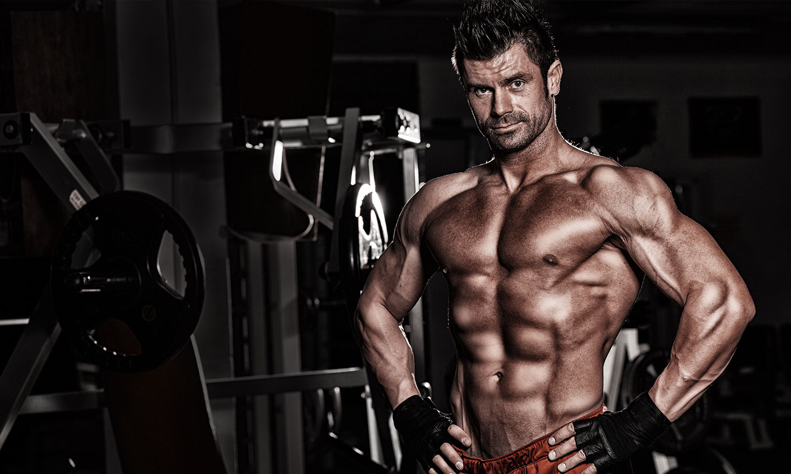 Best Macro Ratio For Gaining Muscle, And Why – Canadian Protein