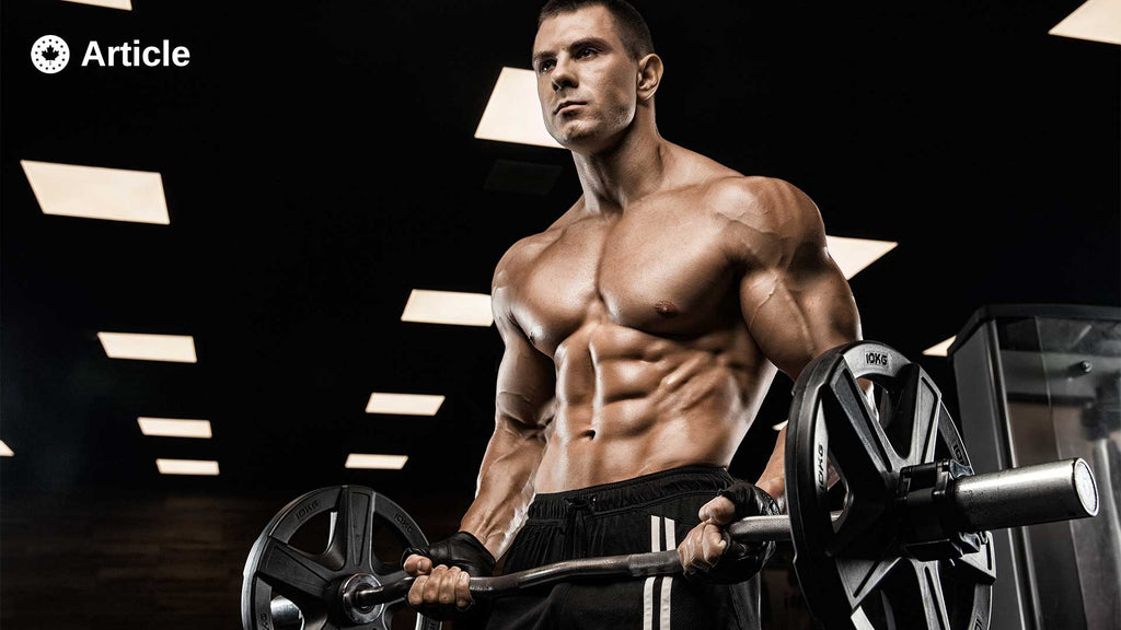 Maximize Your Muscle Growth: Top Stacks for Creatine Monohydrate for O ...