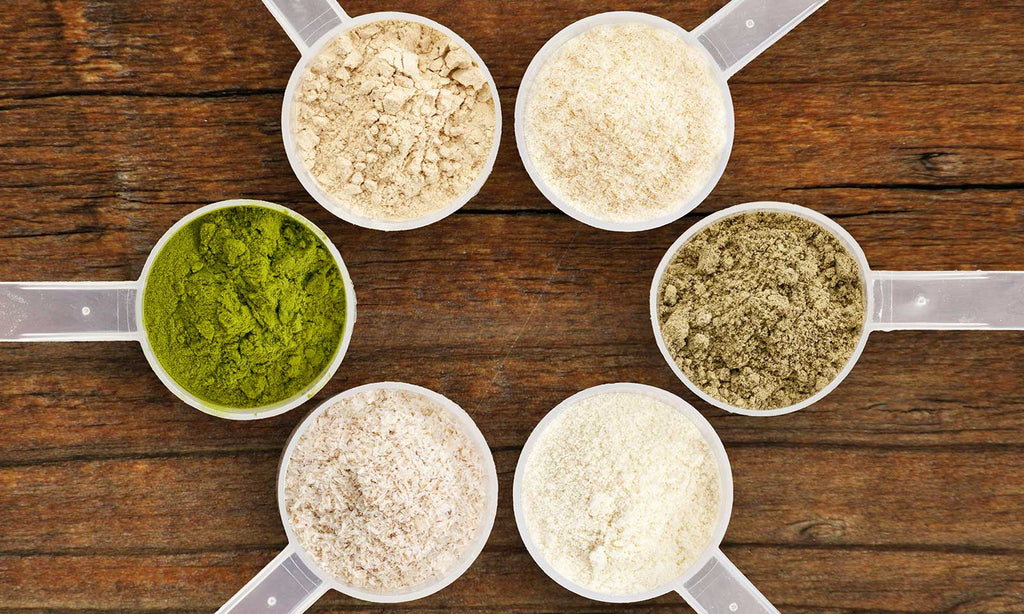 Six Different Forms Of Protein Powder And Which Could Be Right For You ...