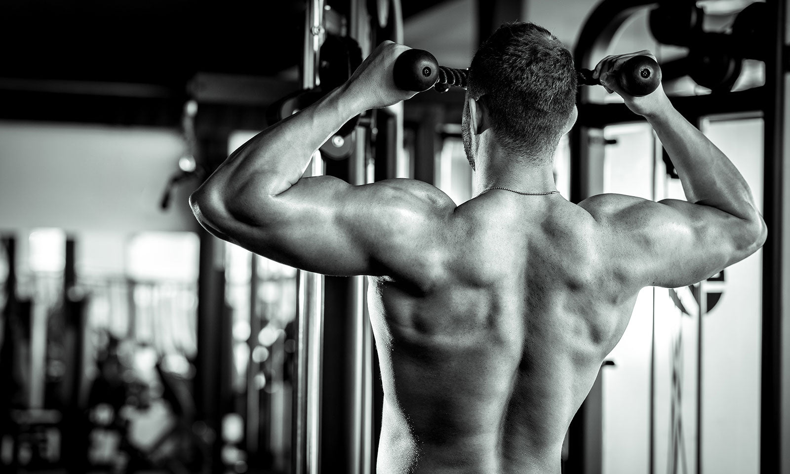 The Ultimate Guide To Building Muscle And Increasing Your Strength ...