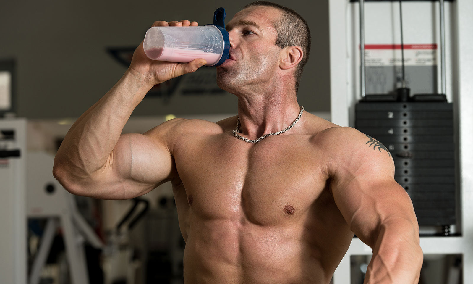 Top Tips For Finding The Right Supplements For You – Canadian Protein