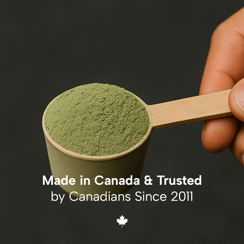 Buy Super Greens Powder - Canadian Protein